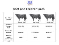 DSR Cattle - Beef Sizes and Cuts